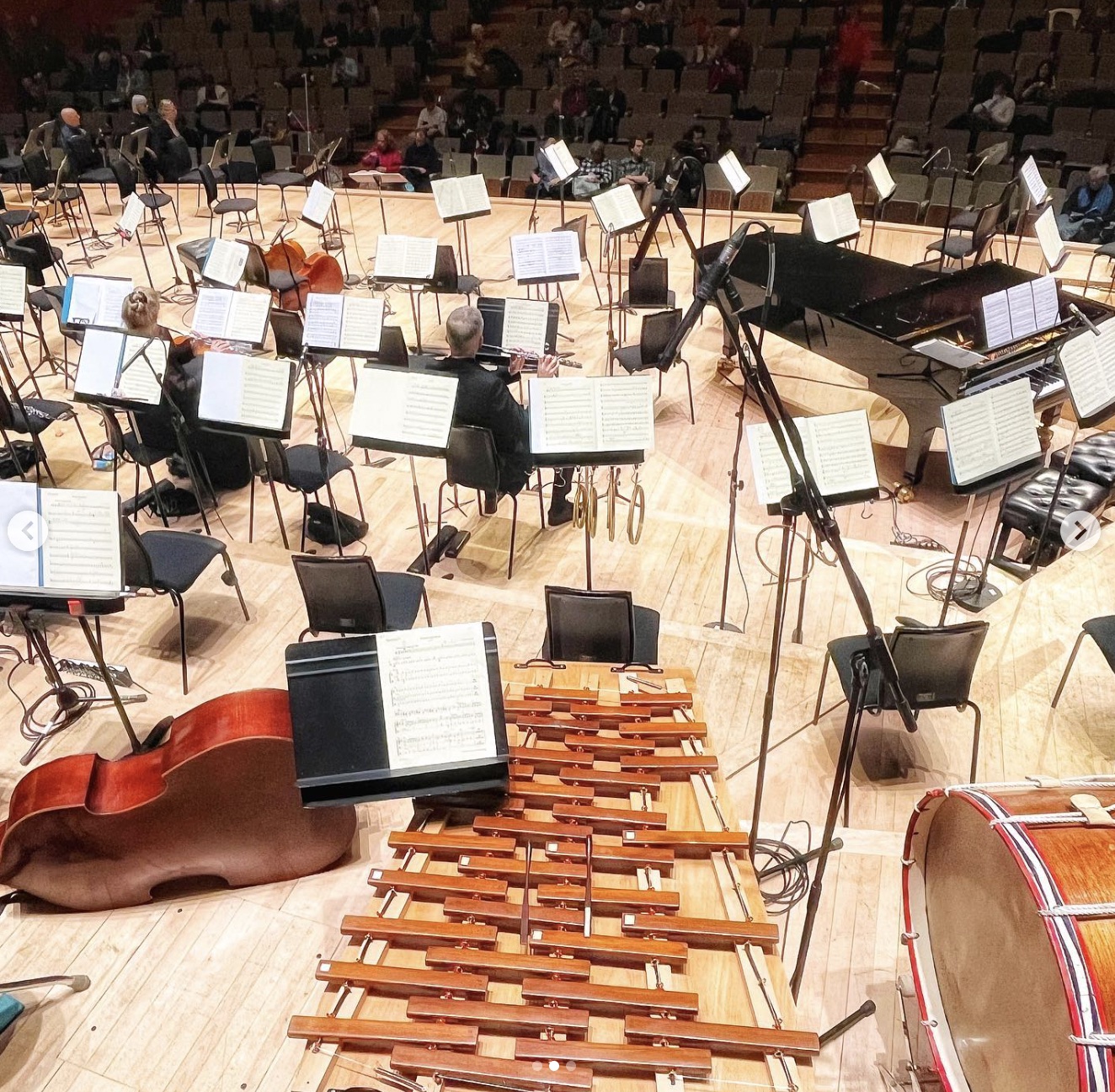 Strohfiedel debut at the Royal Festival Hall | Adrian Bending